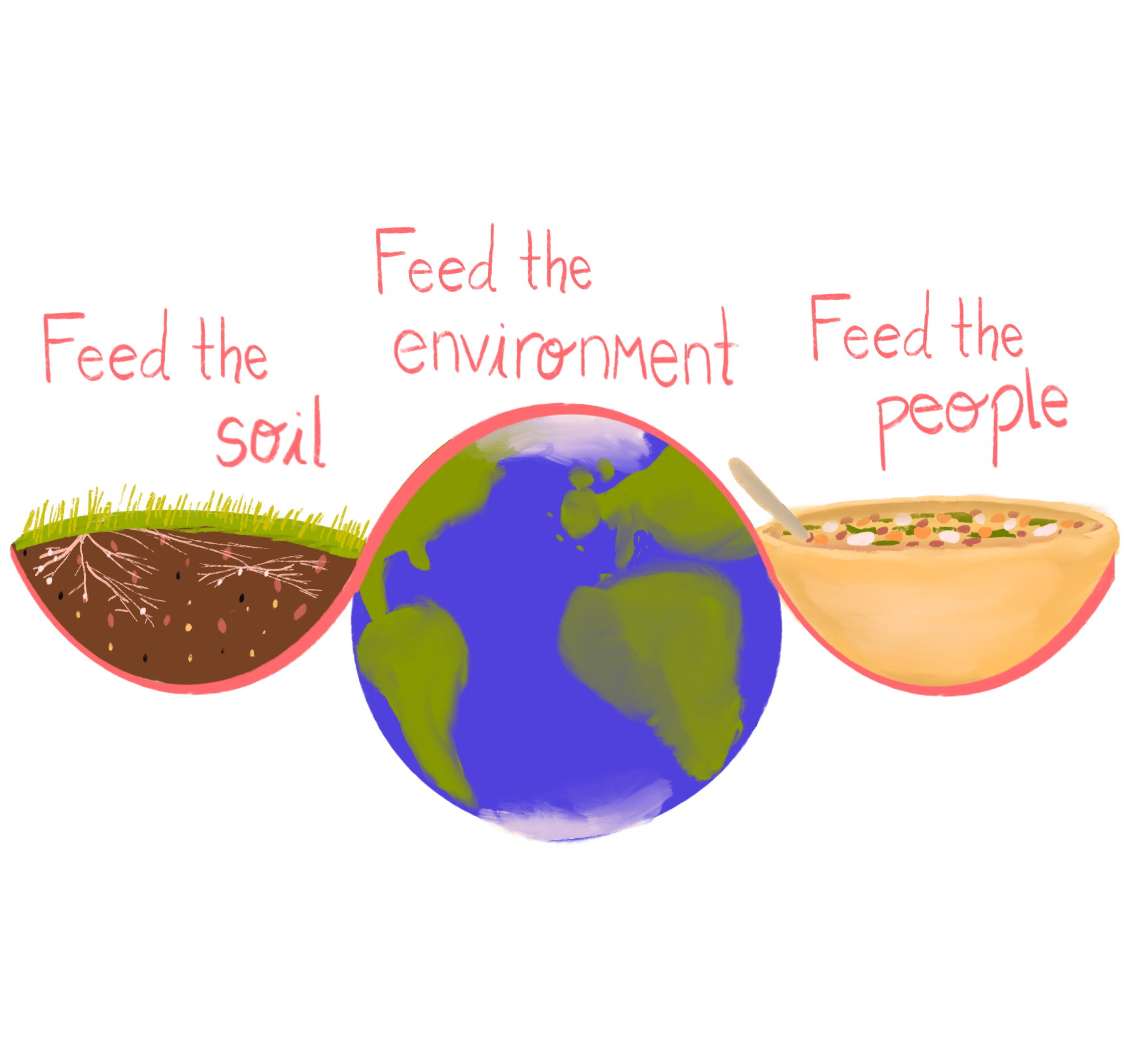 Regenerative Agriculture Explained: The Full Picture and Benefits