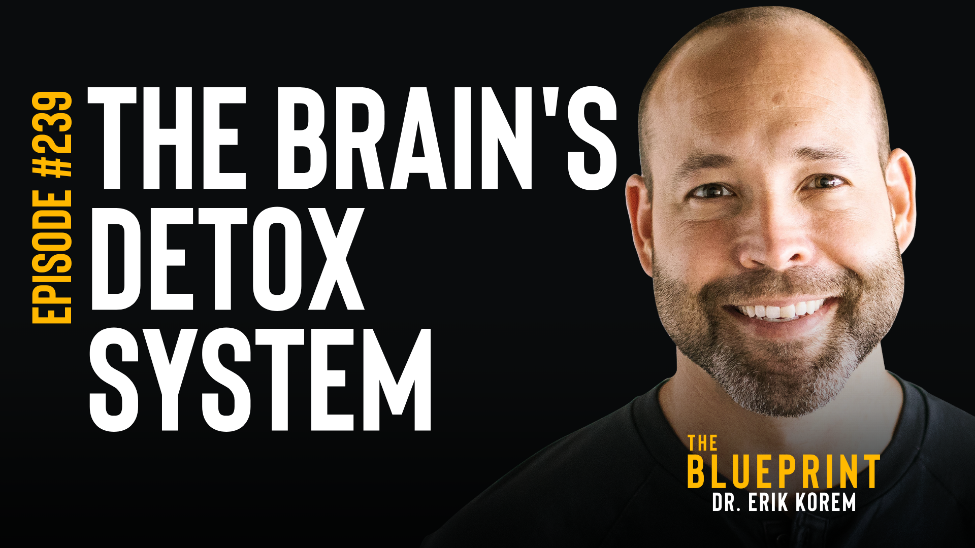 The Brain's Detox System & Why it May Be Key to Long-Term Brain Health ...