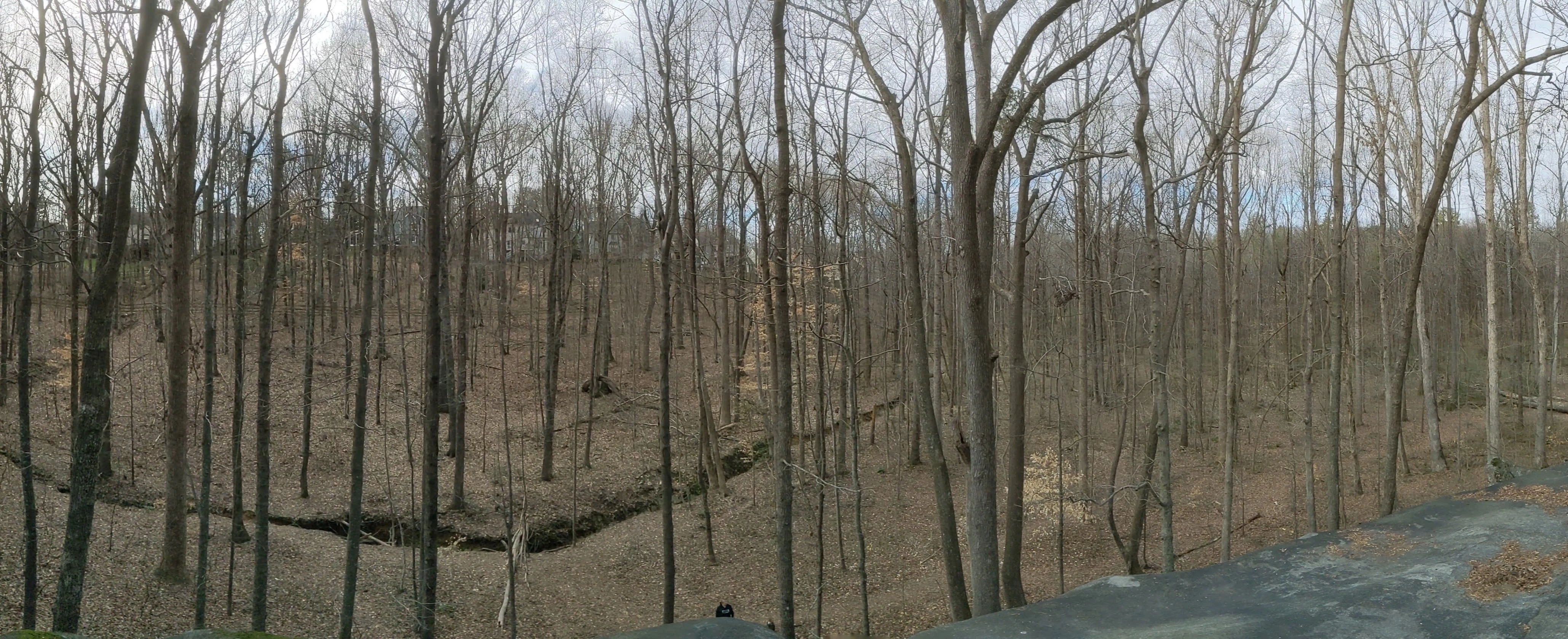 Big Rock Nature Preserve | Sightseeing in Ballantyne