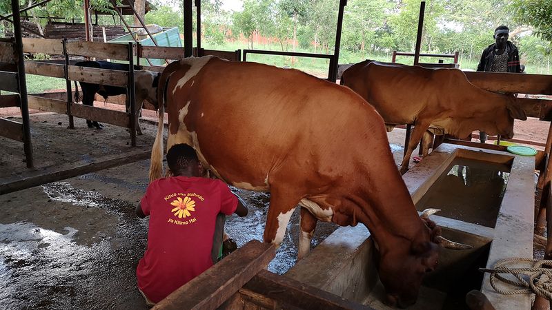 Farmer Training Centre
