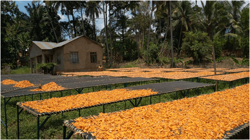 Farmer Training Centre