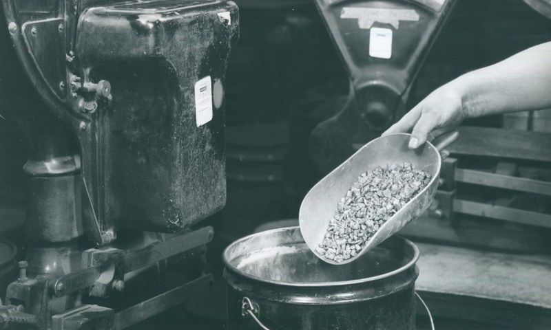 Alloy Development | Cannon-Muskgeon