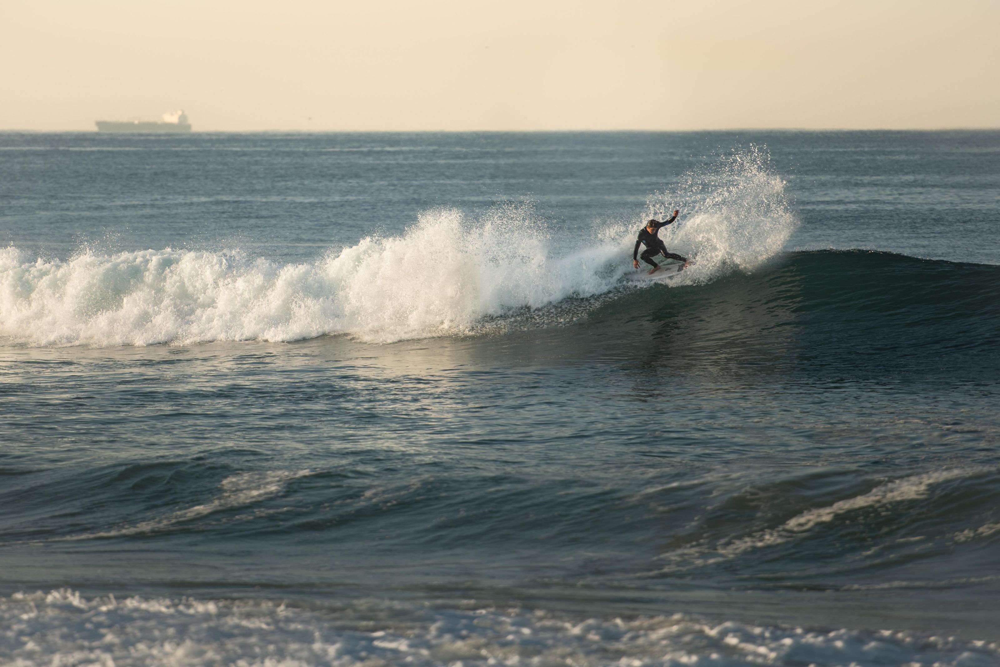 Venice Surfing Assocation
