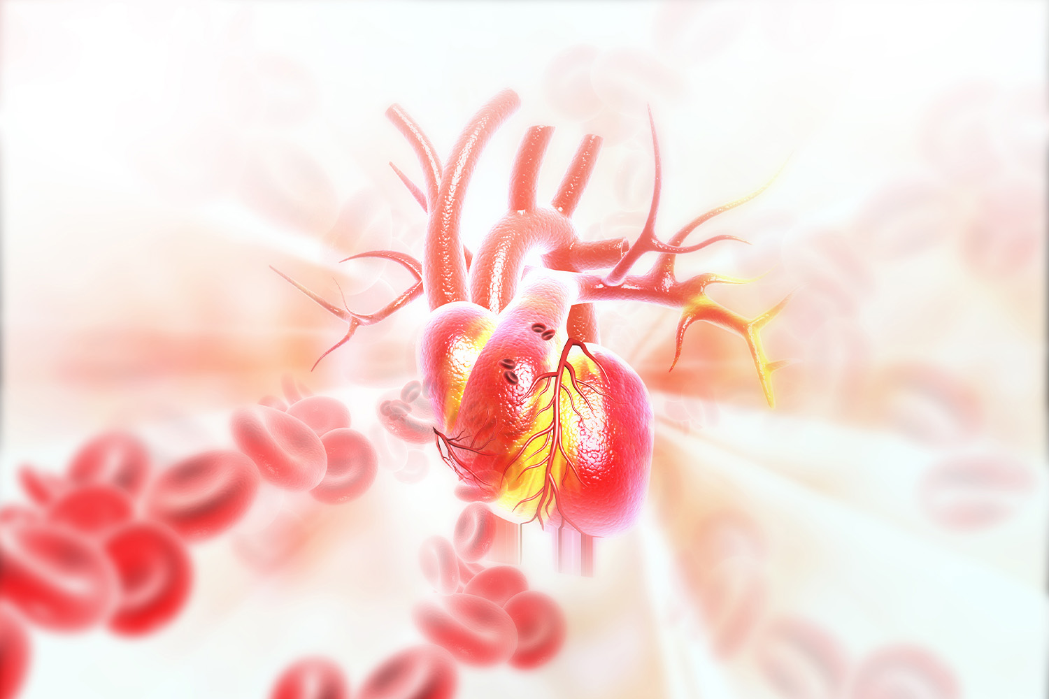 Best Exercise For Leaky Heart Valve | Carda Health