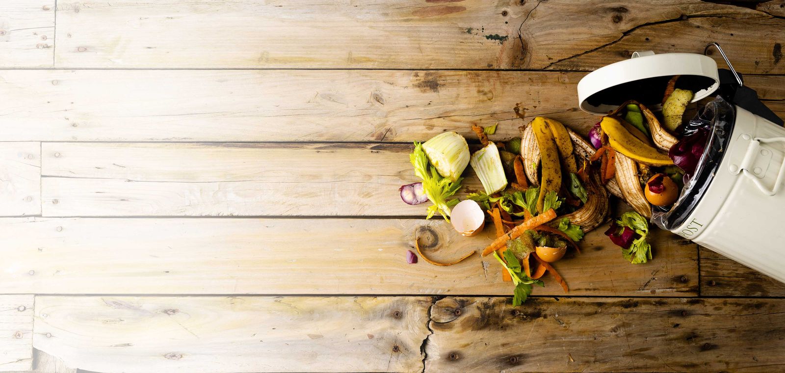 Why Food Recycle