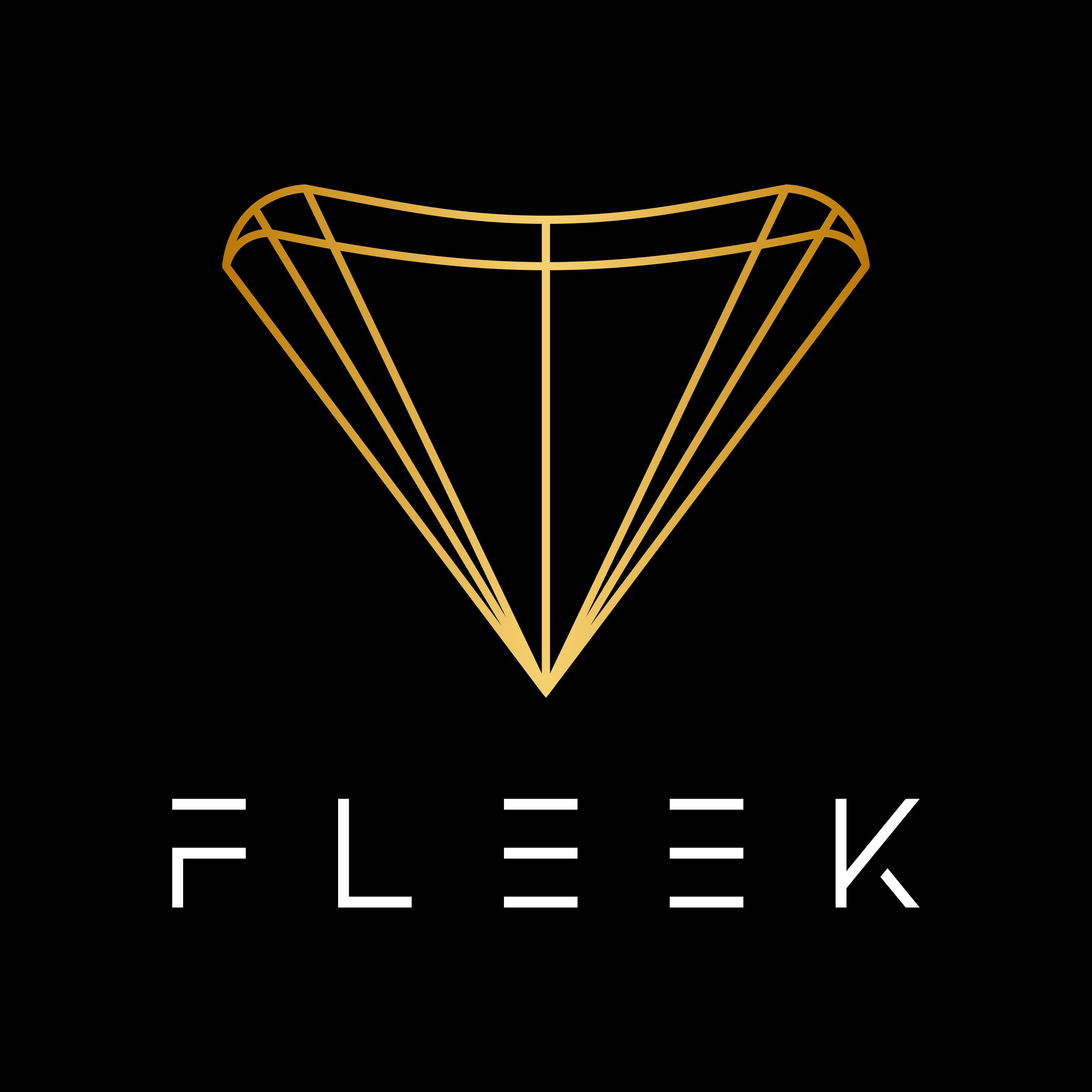 FLEEK - ATLAS BROW MAP MACHINE