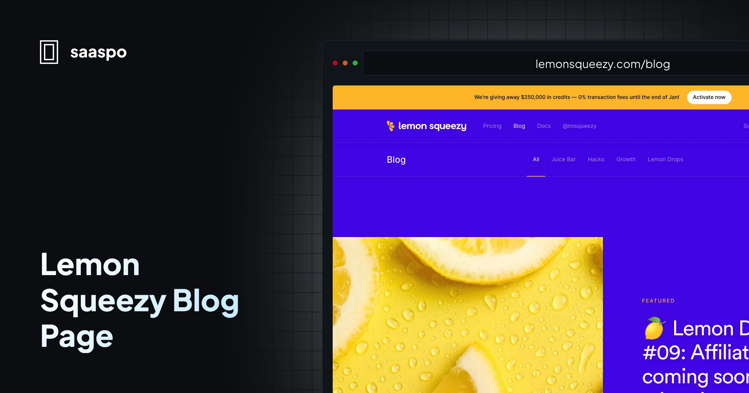 Saaspo | Lemon Squeezy Blog Page