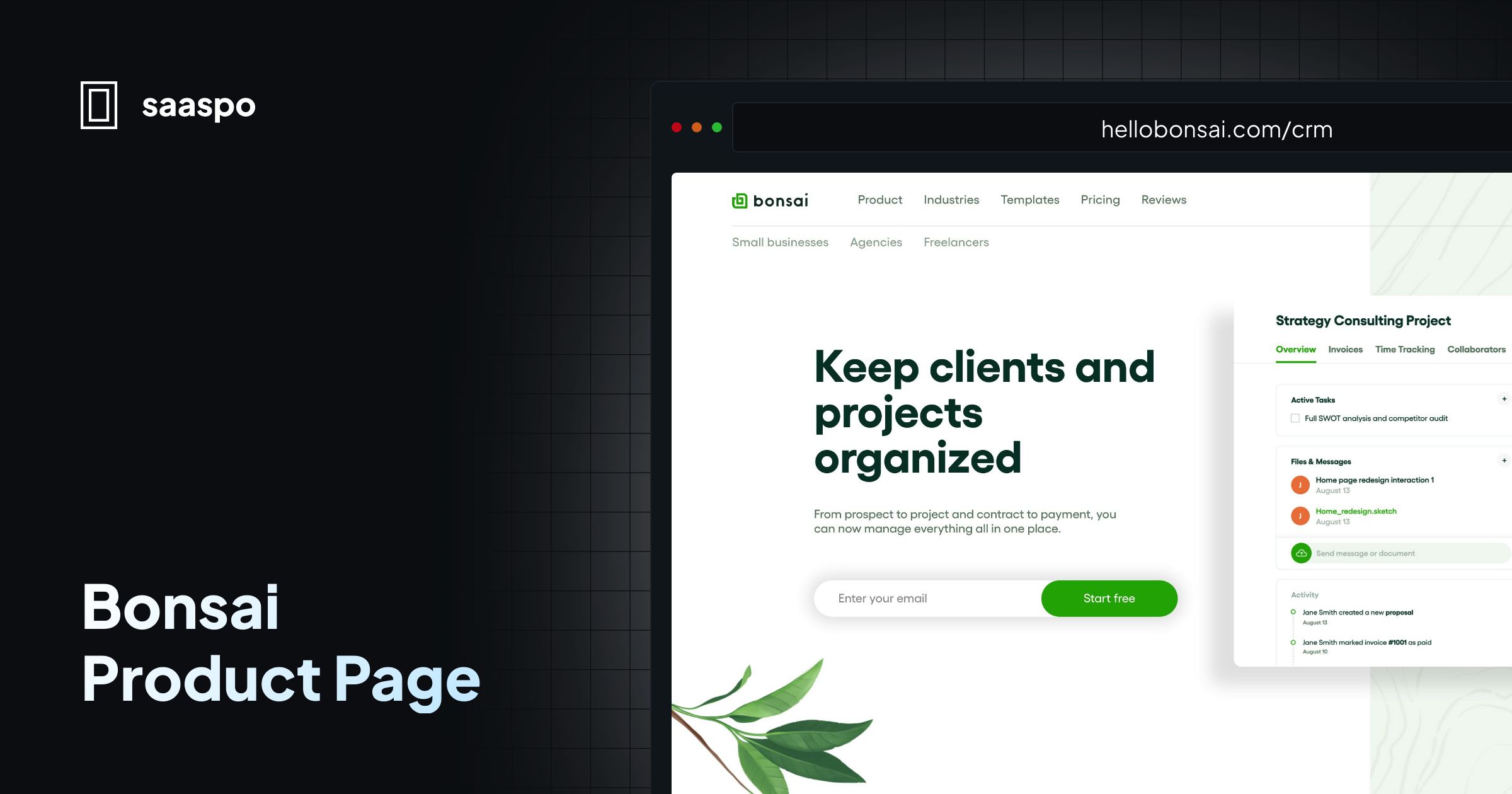 Saaspo | Bonsai Product Page