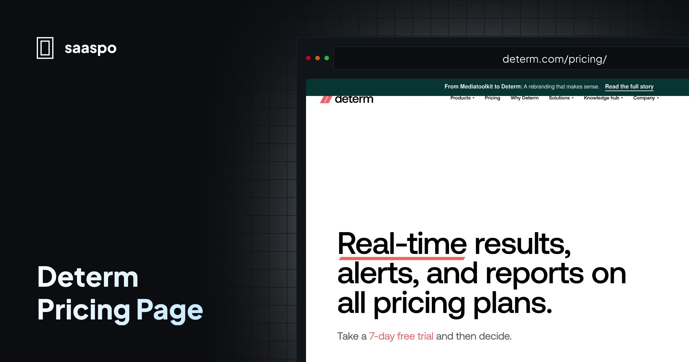 Saaspo | Determ Pricing Page