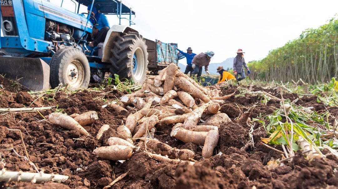 Sustainable Sourcing Supply Chain Compliance Software | BanQu