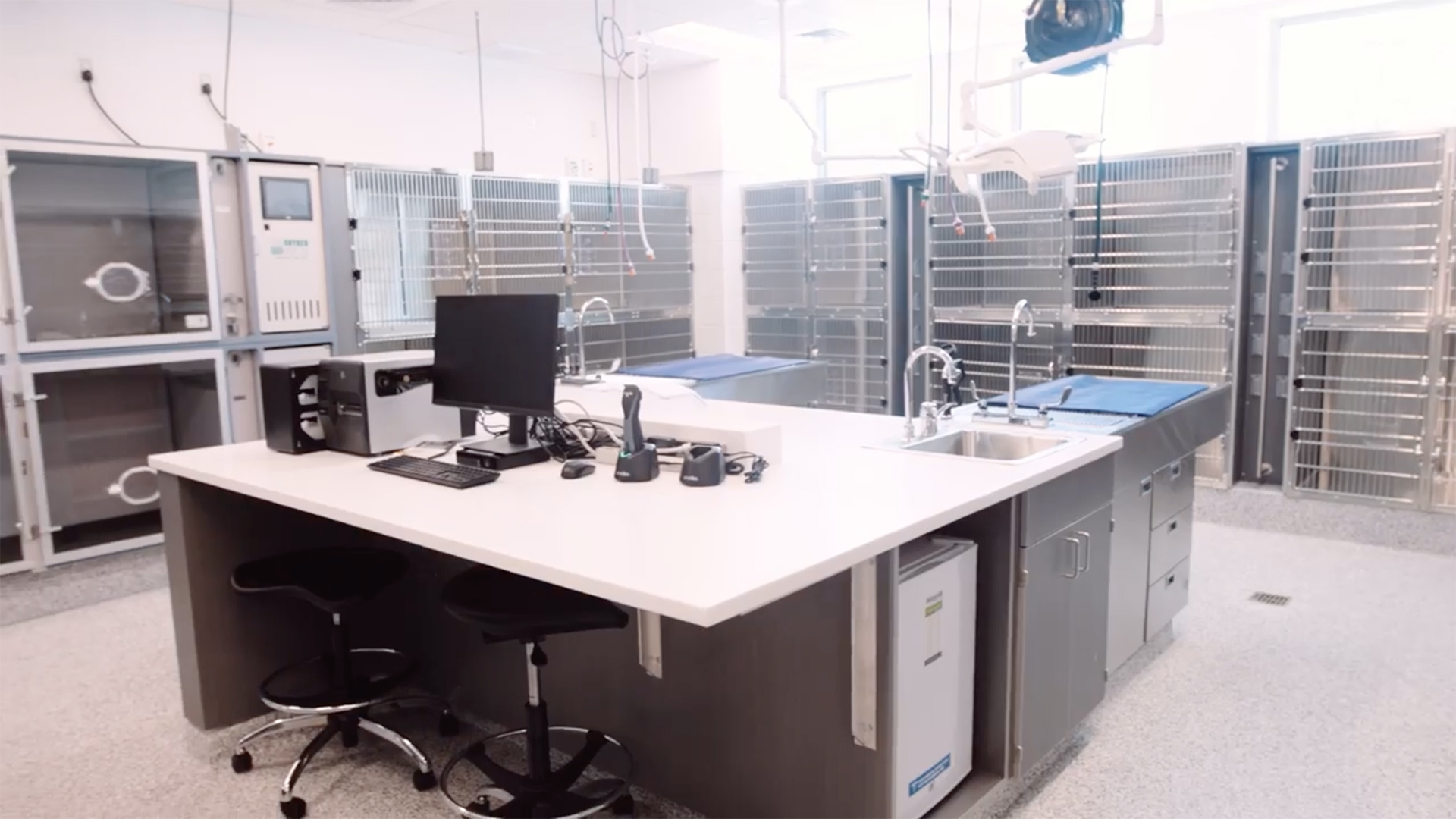 Angell Animal Medical Center Emergency & Critical Care Unit - OLSON ...