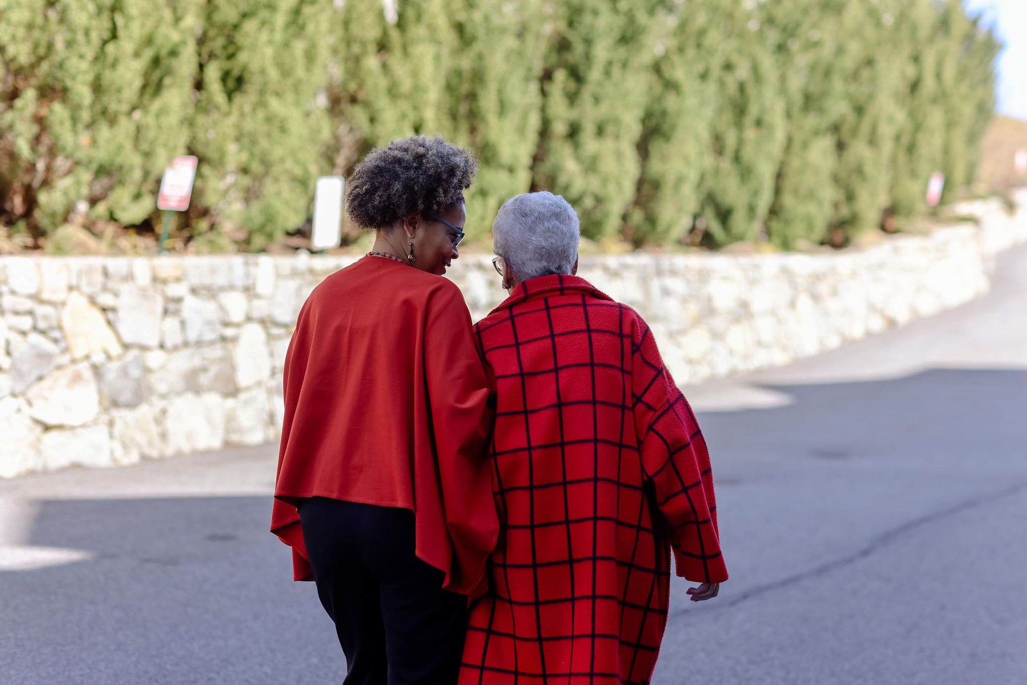 21 Engaging Activities for Dementia Patients at Home — Wisebird