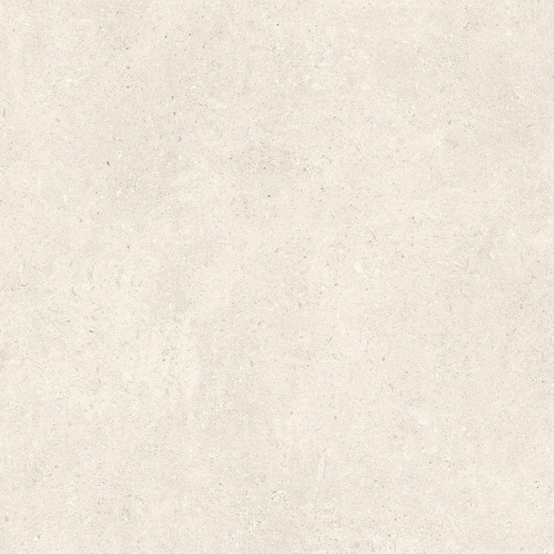 Porcea Coast - STONEarch