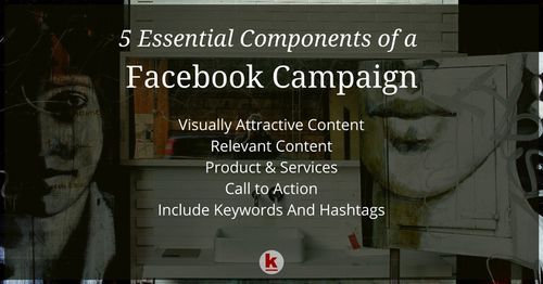 5 Essential Components of a Successful Facebook Campaign - RedAlkemi
