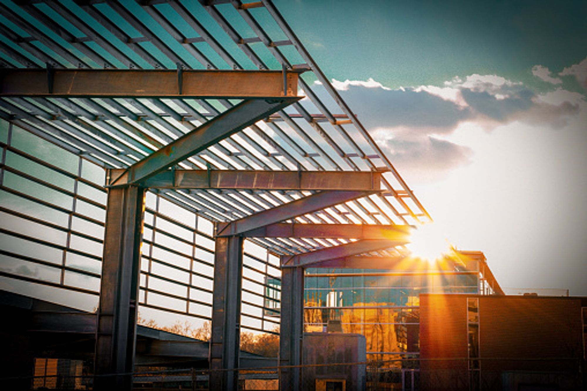 Metal Pergola: The Complete Buying Guide