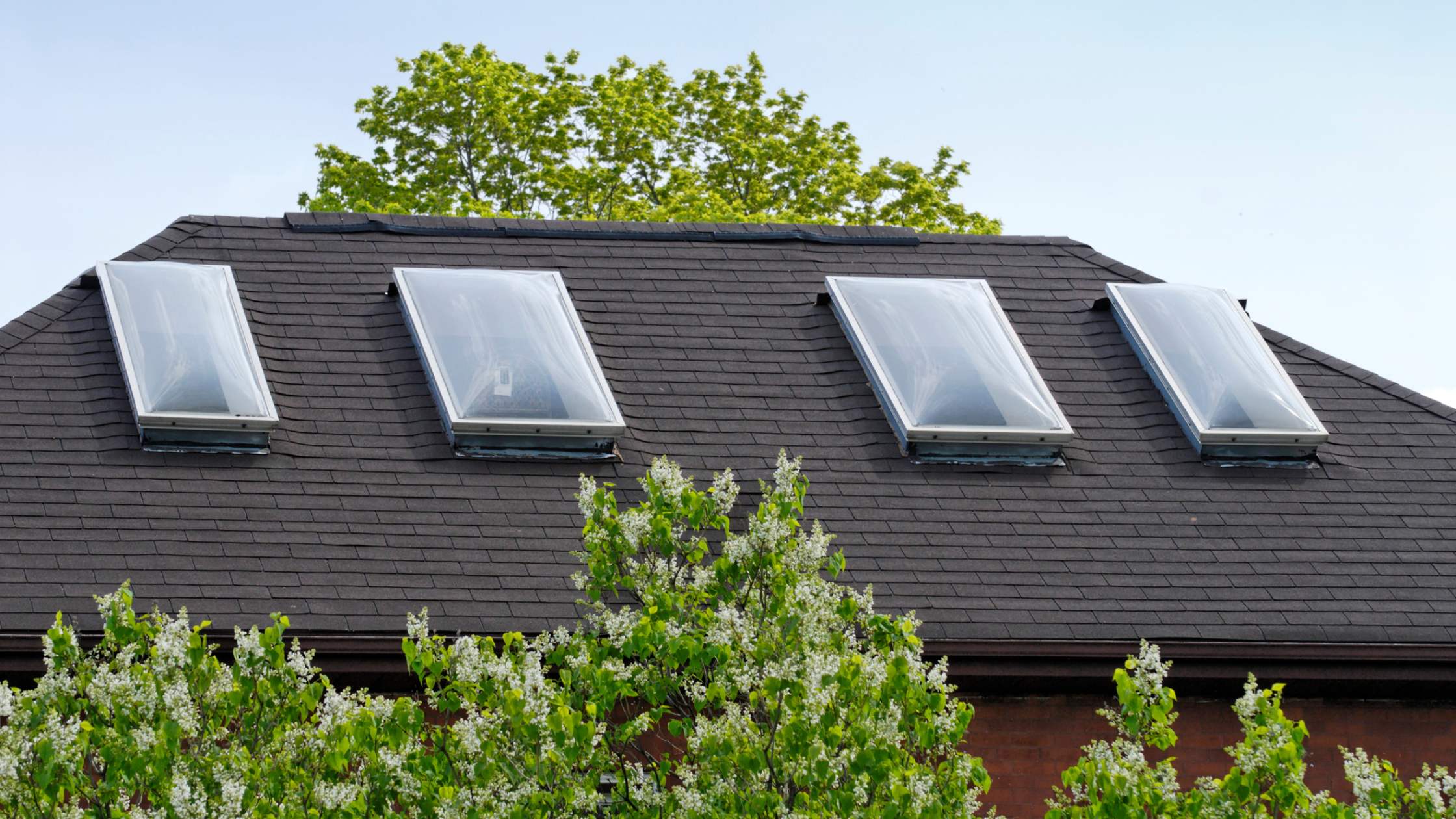 Solar Screens: The Complete Buying Guide