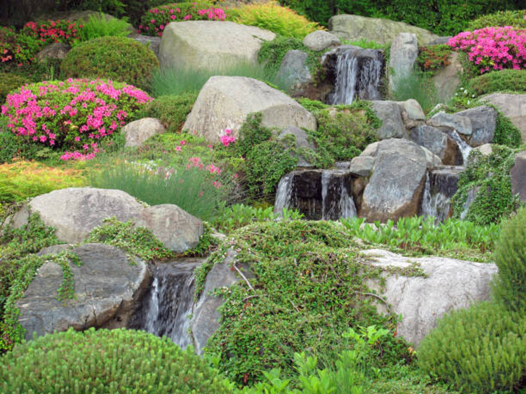 Rock Garden Ideas: 10 Best Rock Garden Ideas