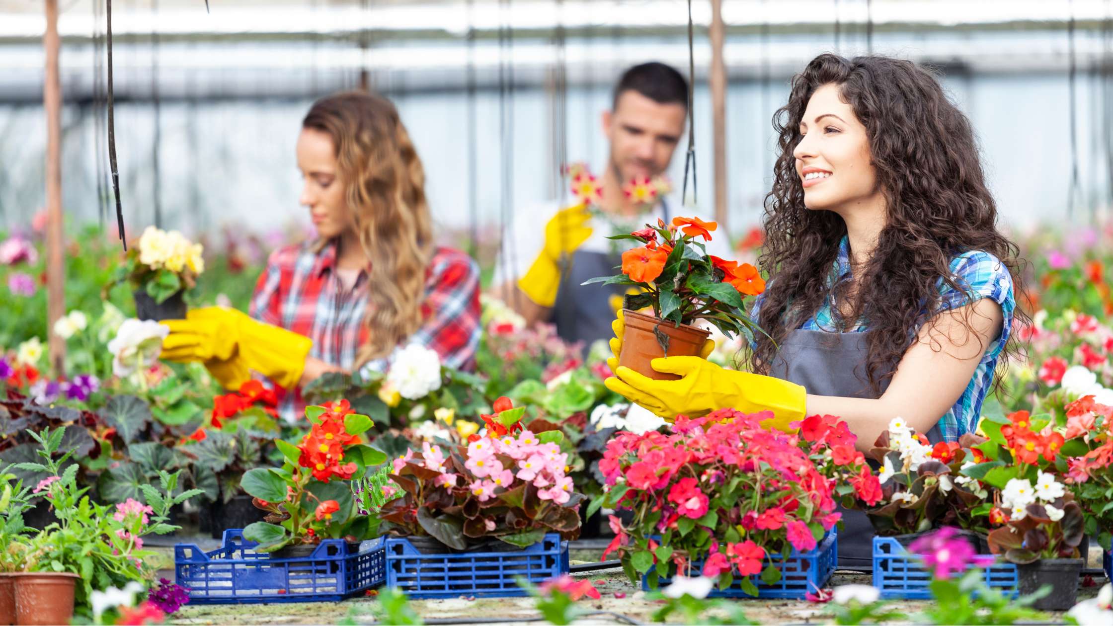 How To Start Community Gardening: A Step-by-Step Guide