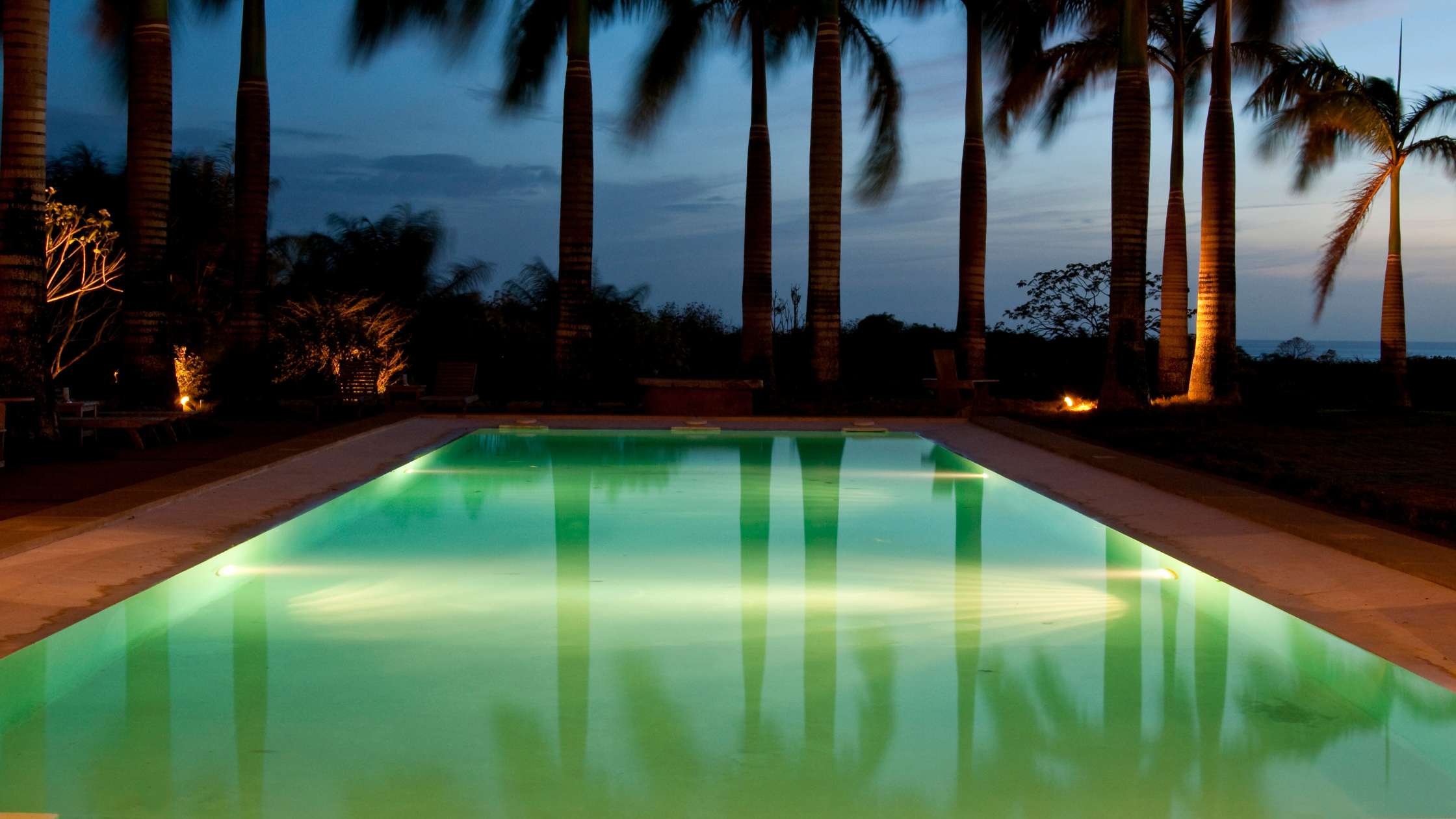 Pool Landscaping Ideas: The Ultimate Pool Landscaping Guide