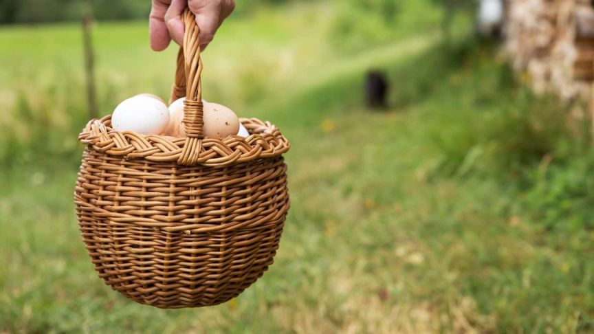 The Ultimate Guide To Choosing The Right Gardening Basket