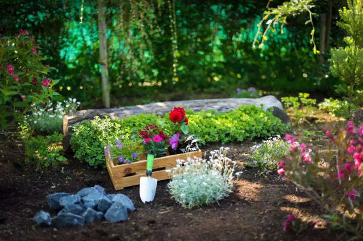 Small Garden Ideas: 15 Best Ideas For Your Small Garden