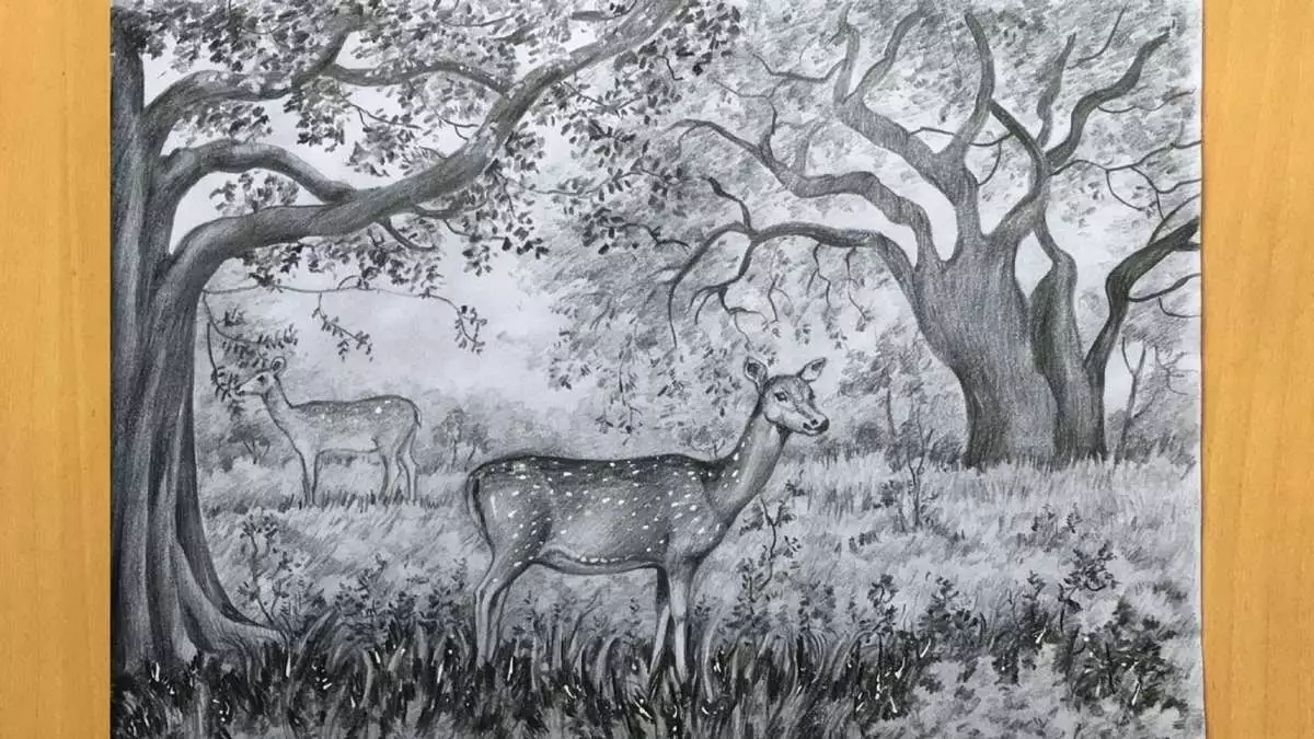 18 Easy & Beginner-friendly Landscape Drawing Ideas