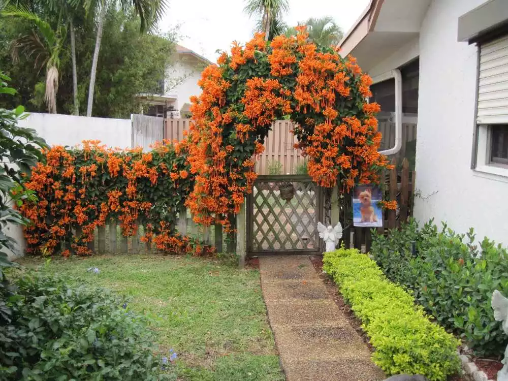 15 Best Florida Landscaping Ideas You'll Love