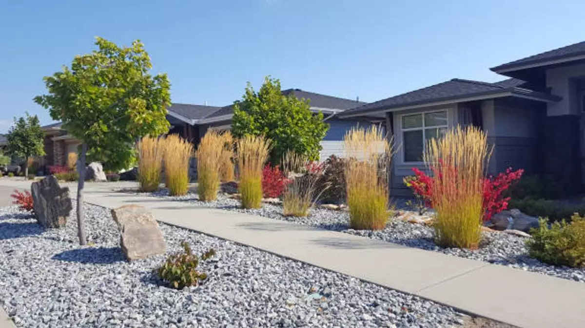 21 Best Xeriscaping Ideas For Your Yard