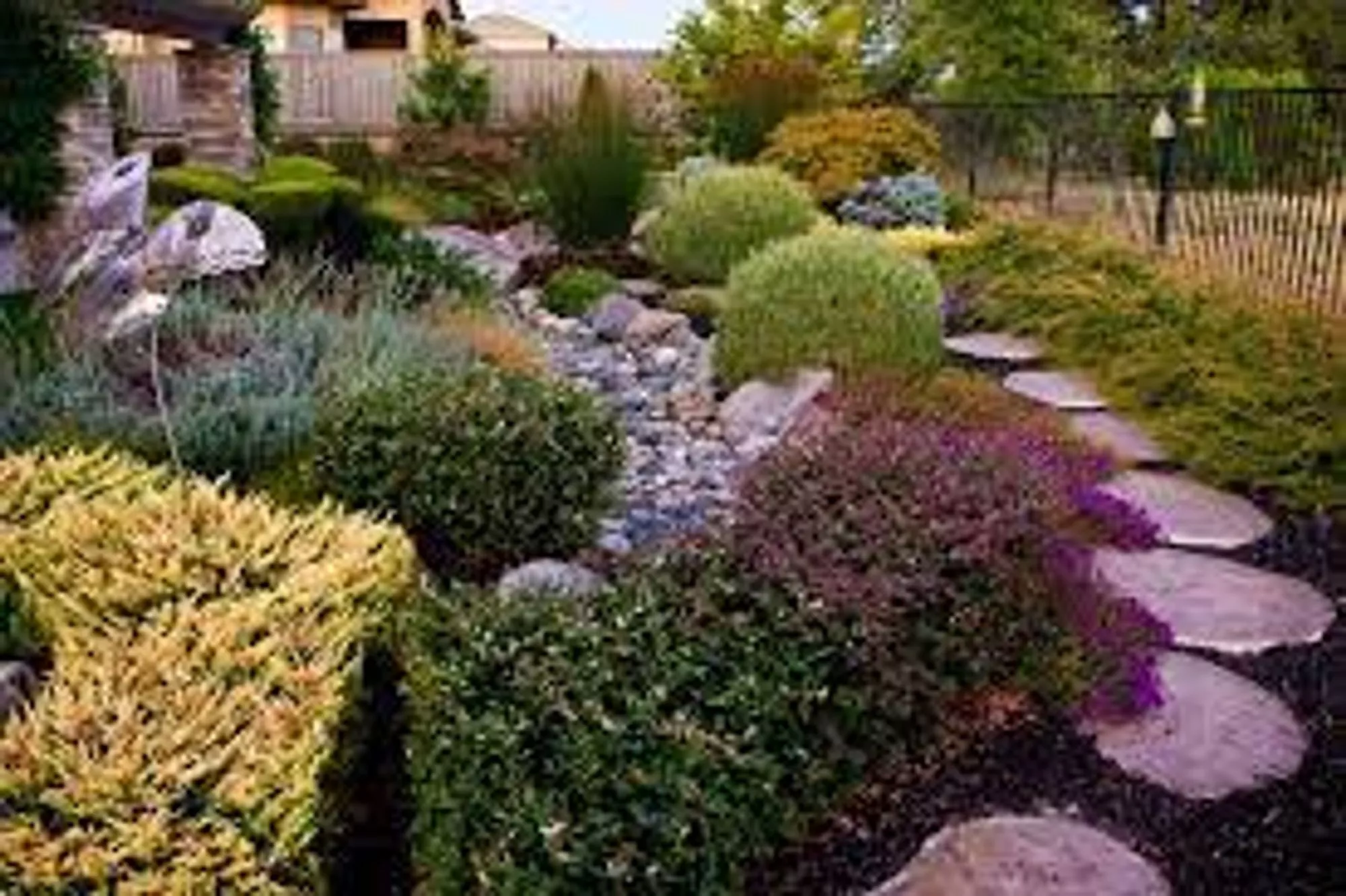 Landscaping Plants: Everything You Need To Know