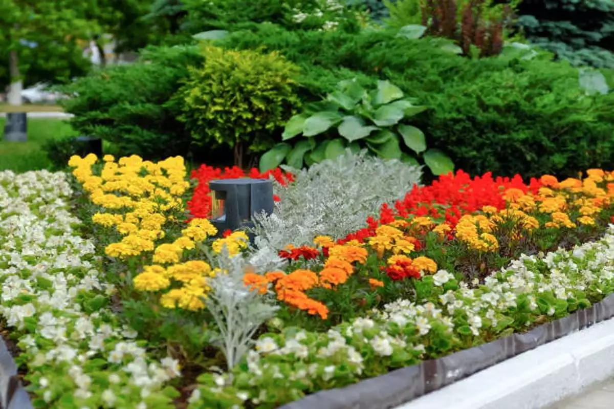 15 Best Front Yard Flower Bed Ideas For Your Home