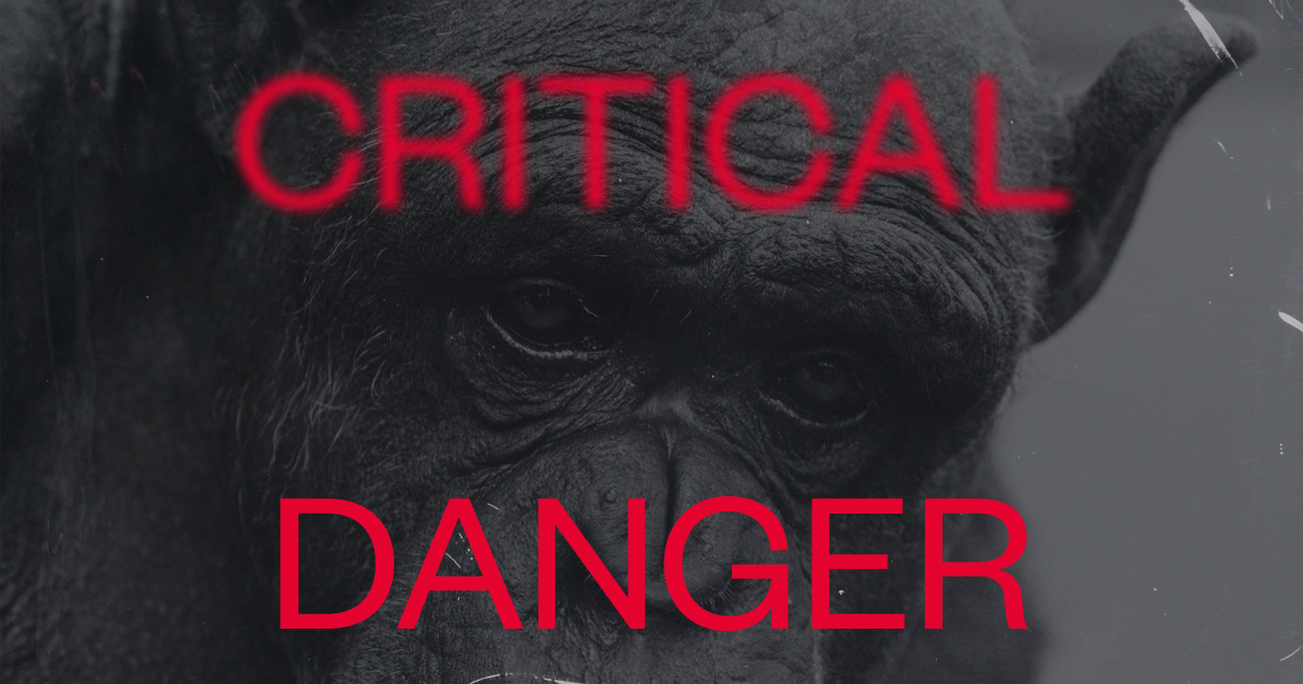 Critically Endangered Animals