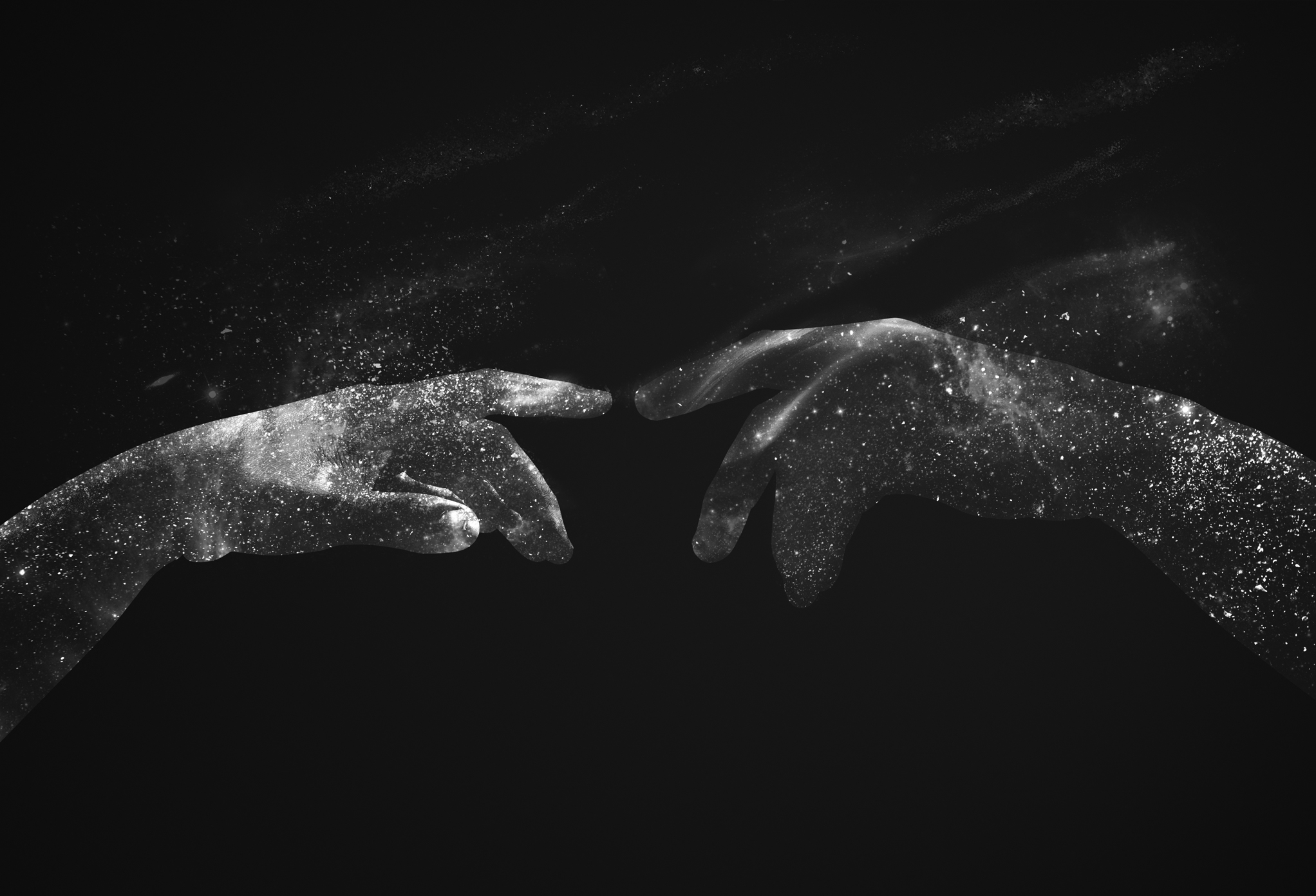 Head X Group - Building & Consulting World’s Fastest Growing Digital ...