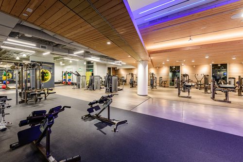 Home - Fabiano Designs