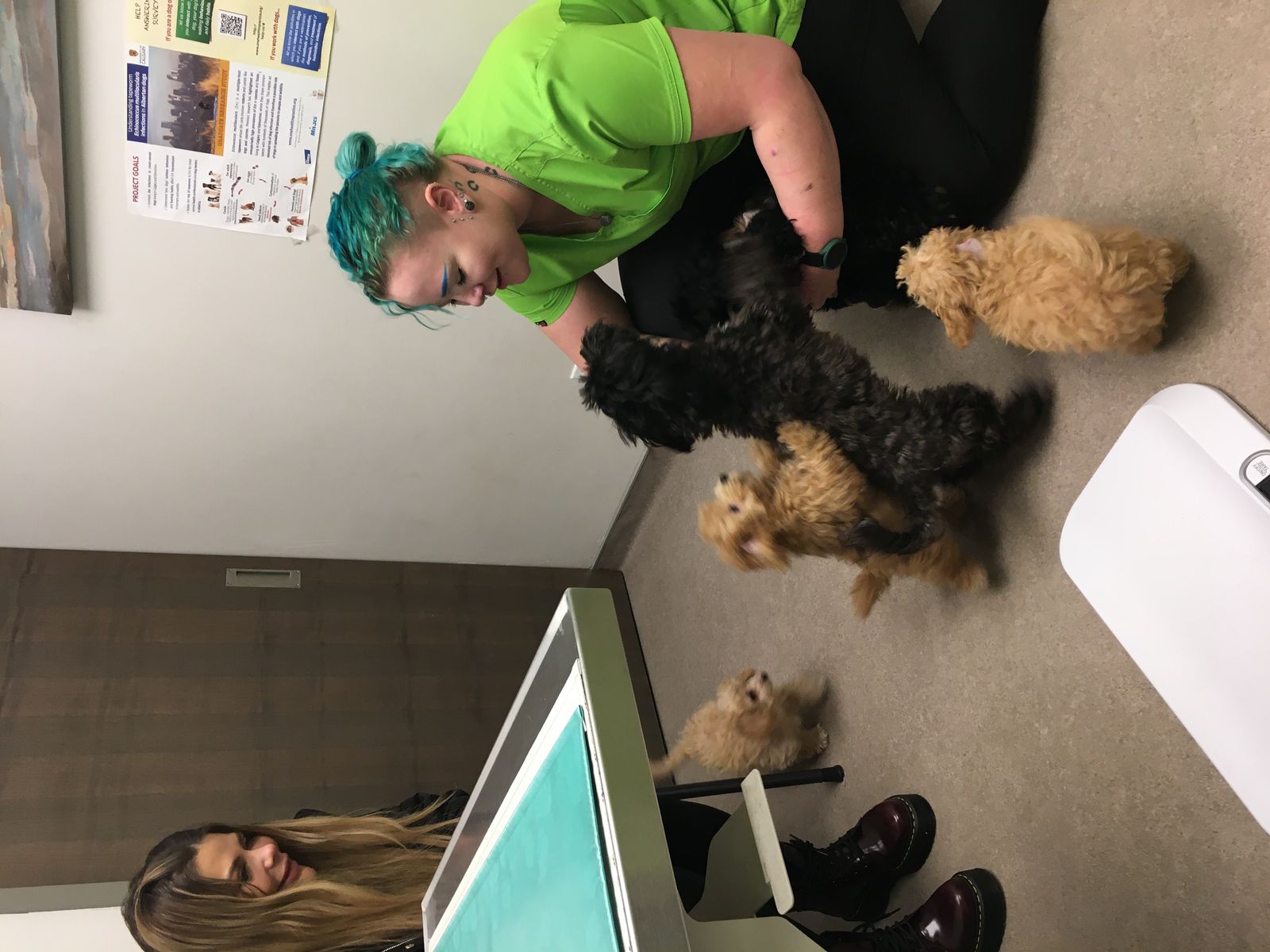 Vet Clinic Edmonton | Lakeview Animal Hospital