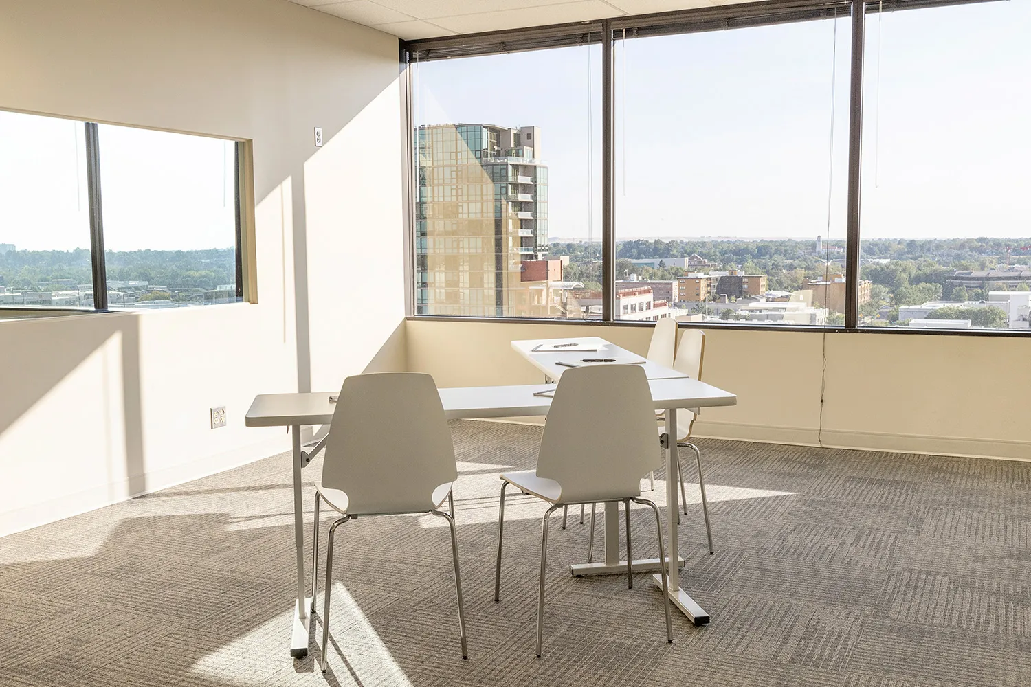 Idaho Focus Group Facility