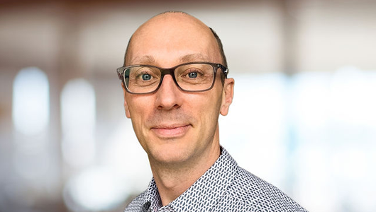 A dazzle of zebras and their diverse skills!