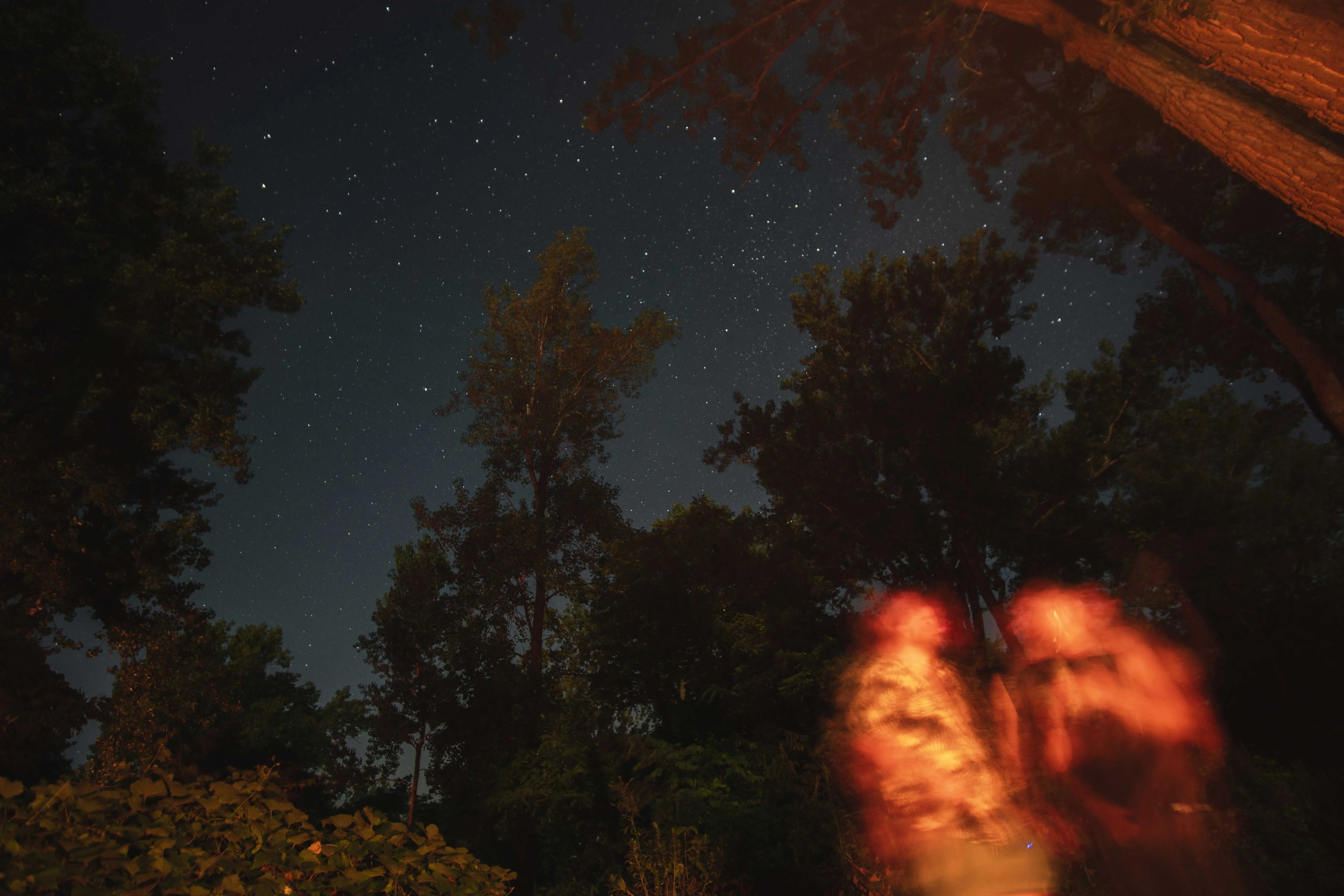 Josh Spurling Motion & Design