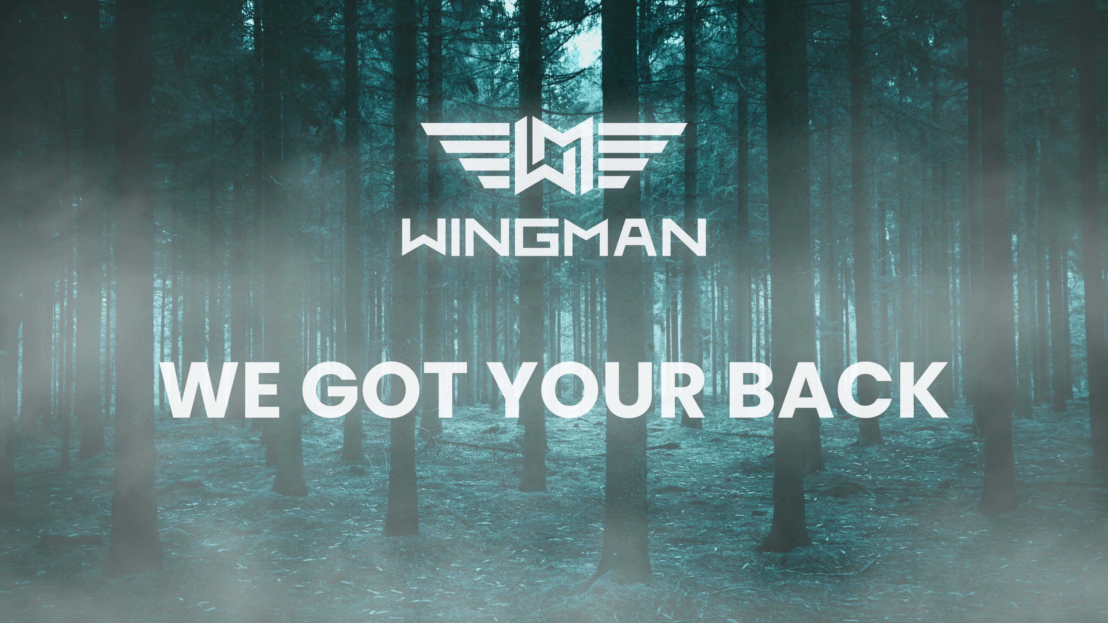 Wingman Discs