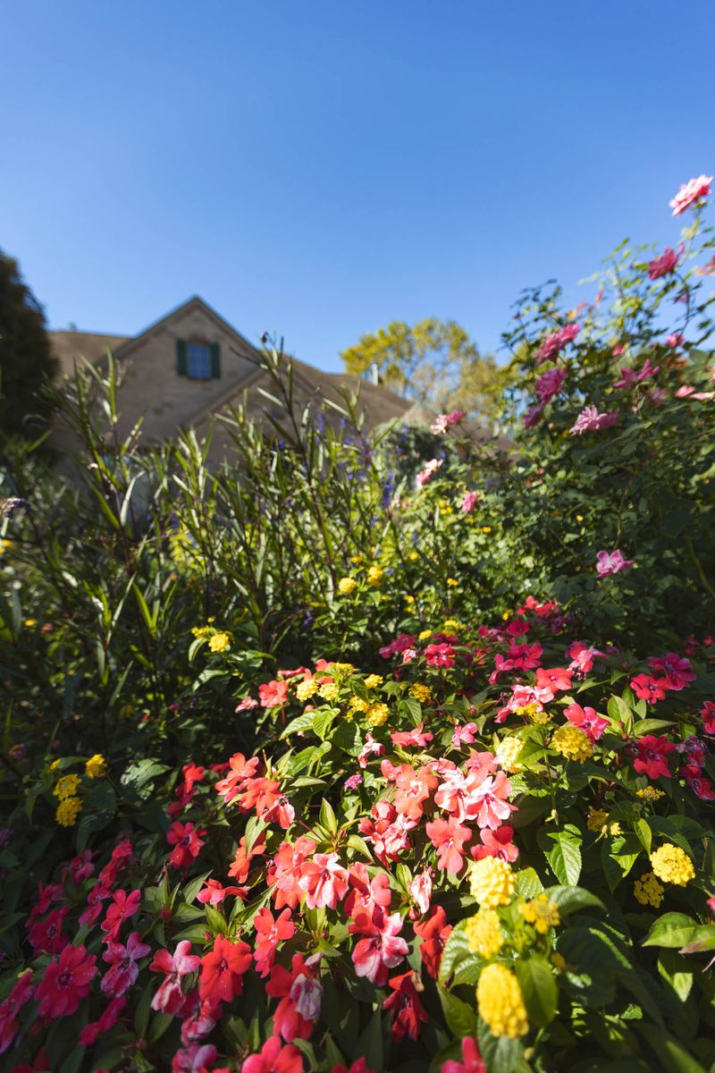 Sundown Landscape Contracting - St. Louis Landscape Design ...