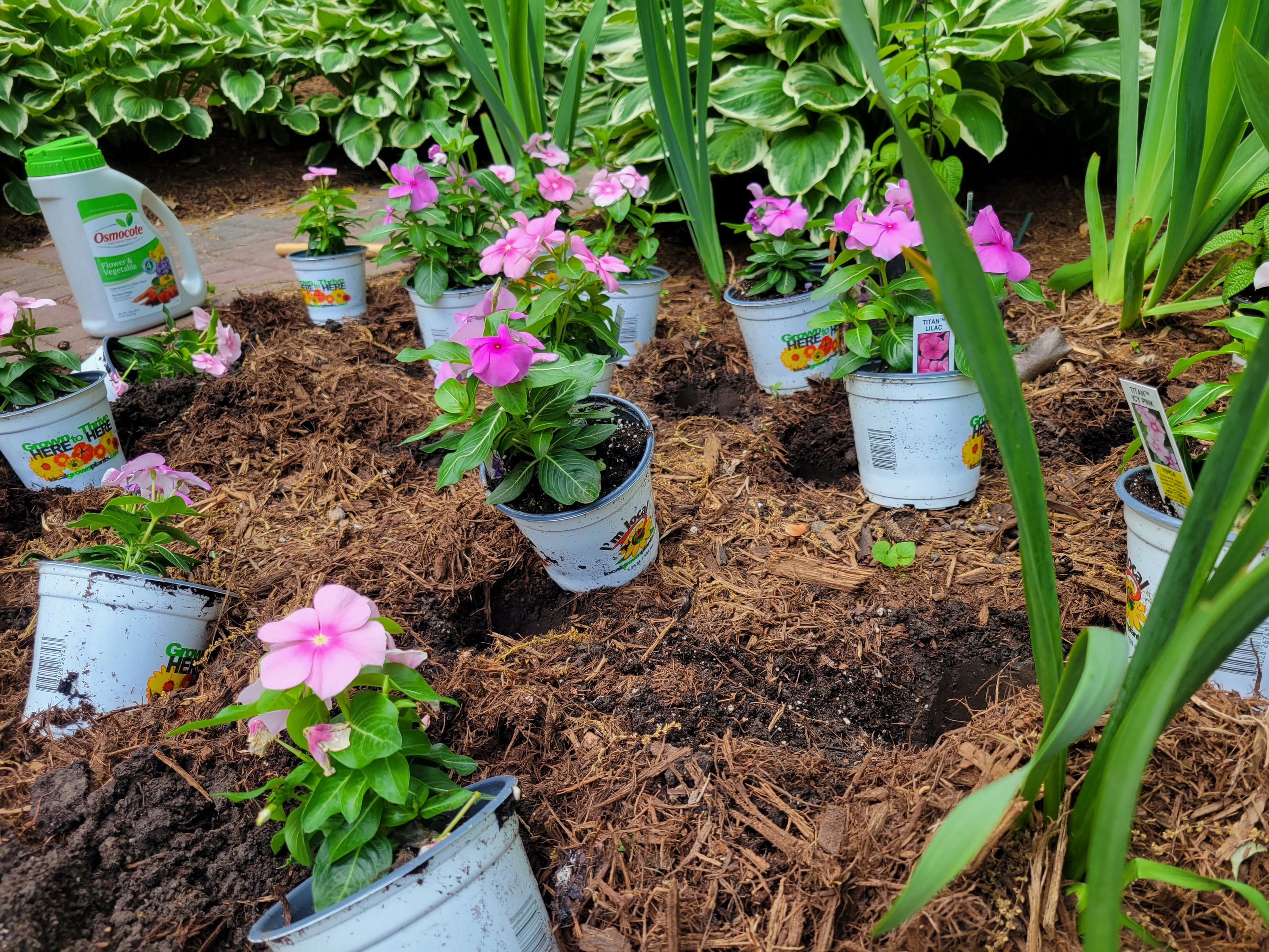 Sundown Landscape Contracting