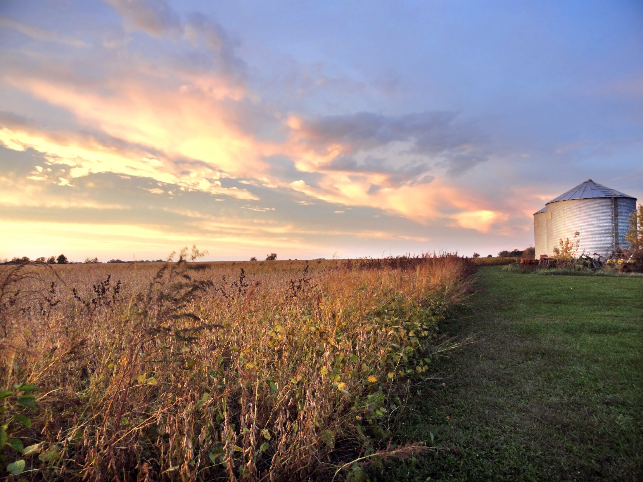 Medicare Advantage Enrollment In Rural America | Cavulus News