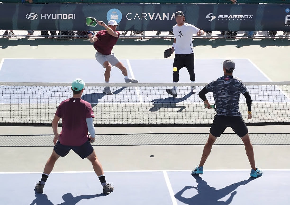 Top Professional Pickleball Players Male And Female | The Skilled Pickle