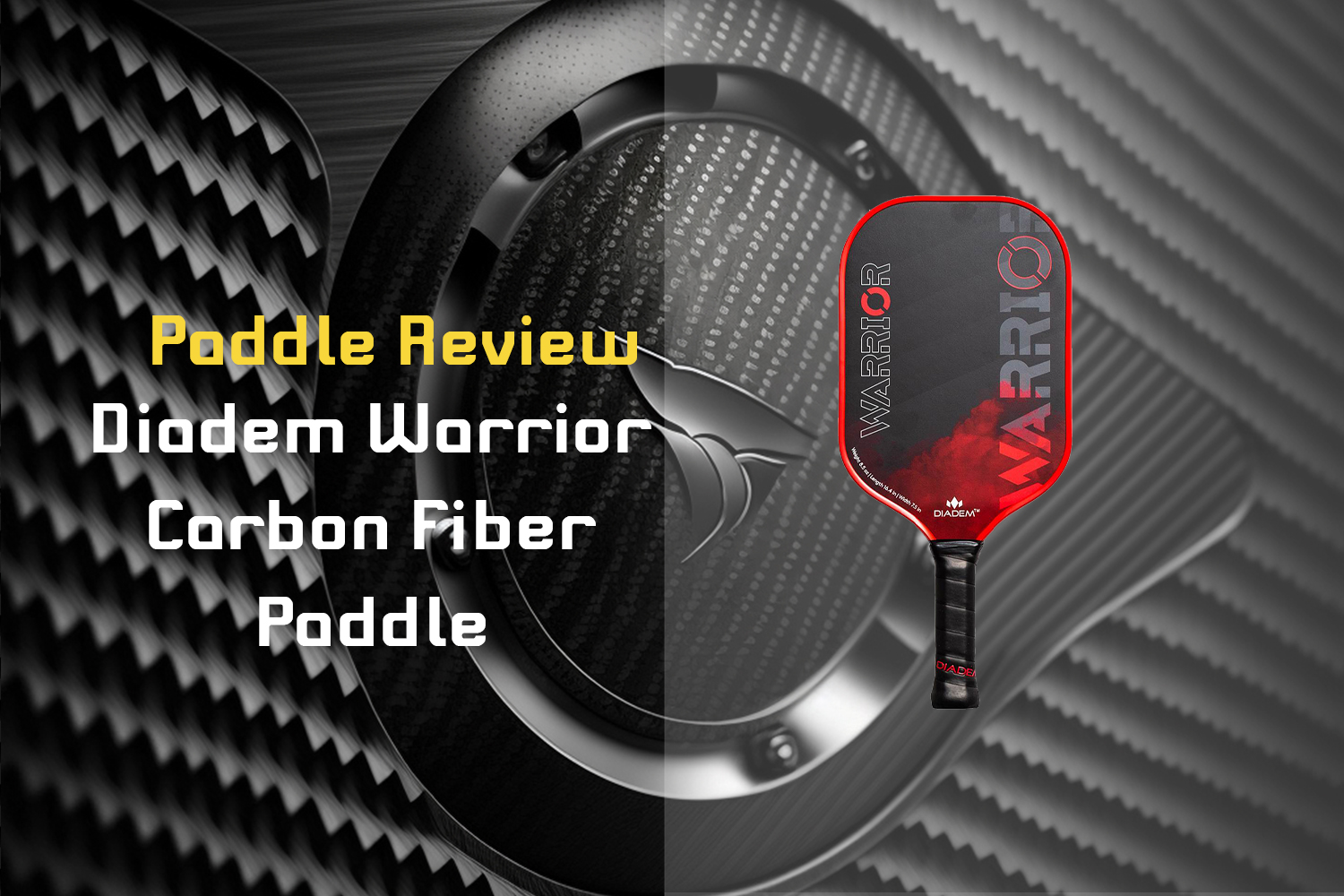 Diadem Warrior Carbon Fiber Paddle Review Review | The Skilled Pickle