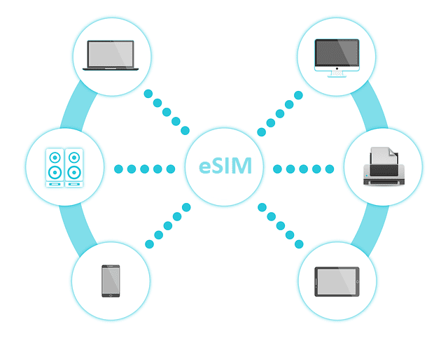 Celitech.com | What Are the Financial Benefits of eSIM Tech to Business?