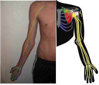 Brachial Plexus Injury | Patient information sheets