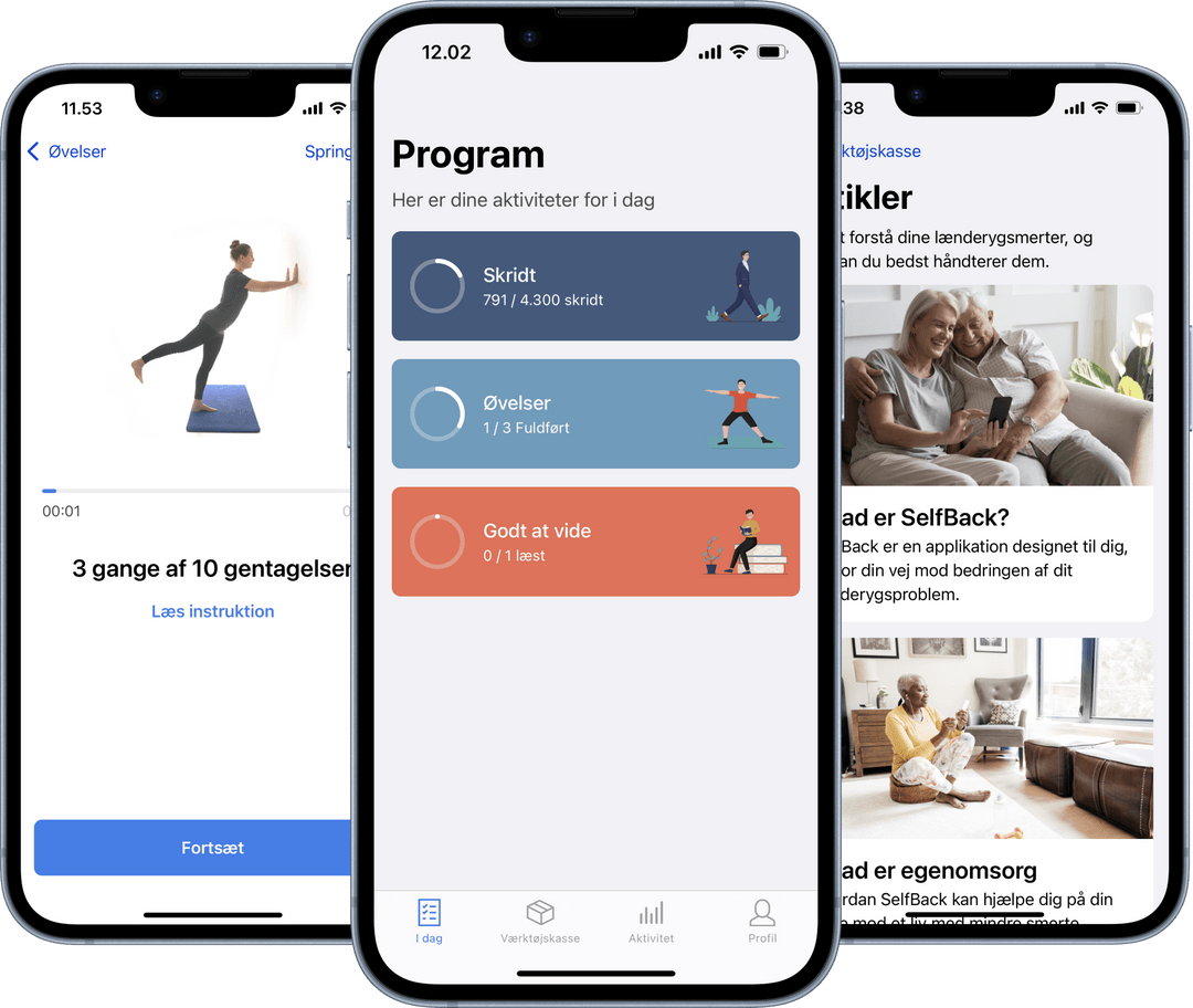 SelfBack: Personalized back pain treatment