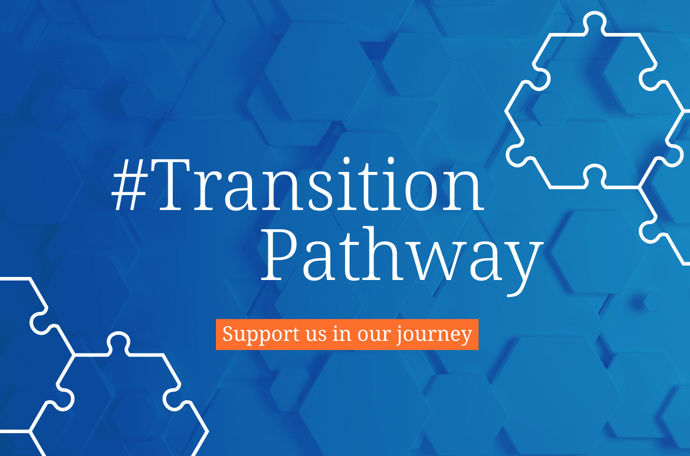 EU Chemical Industry Transition Pathway