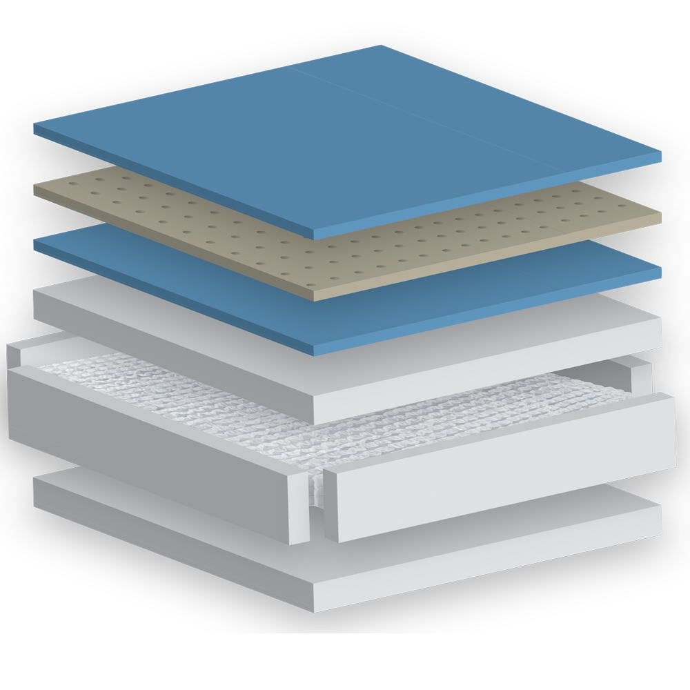 Dream Fusion Hybrid - Mlily New Zealand