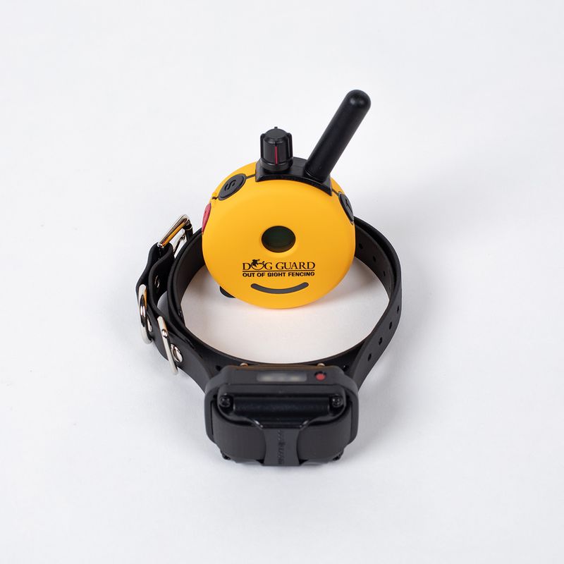 Remote Trainers | Wireless Dog Trainer | Dog Guard