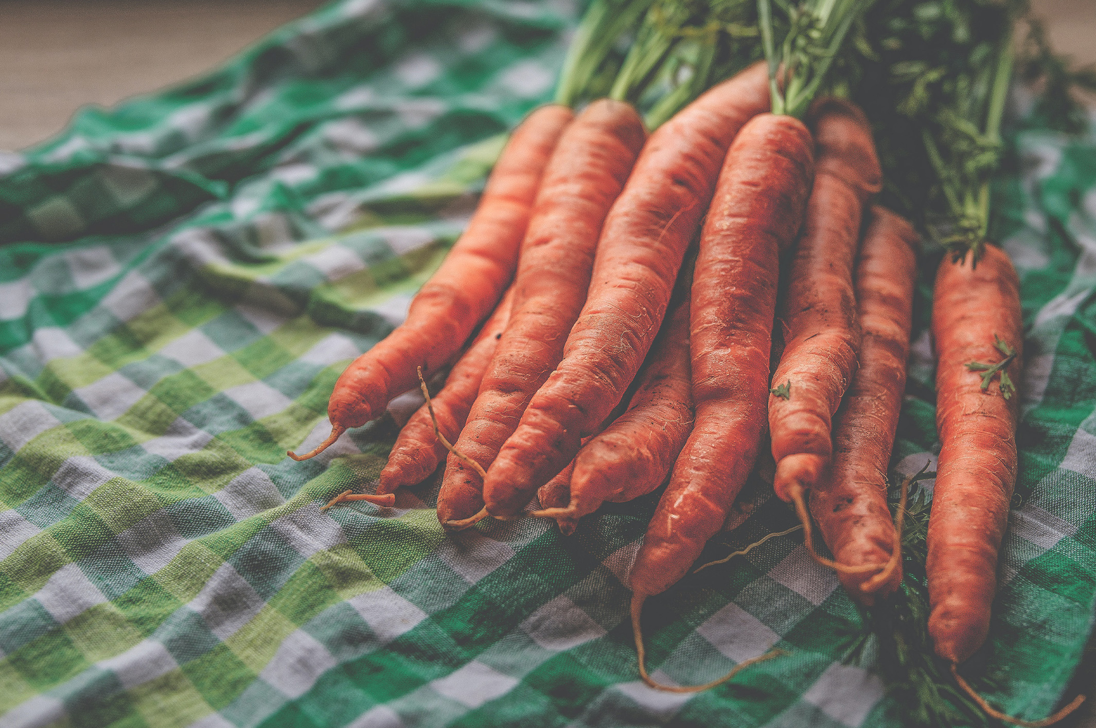 La carotte de Créances, son goût sucré nous fait craquer